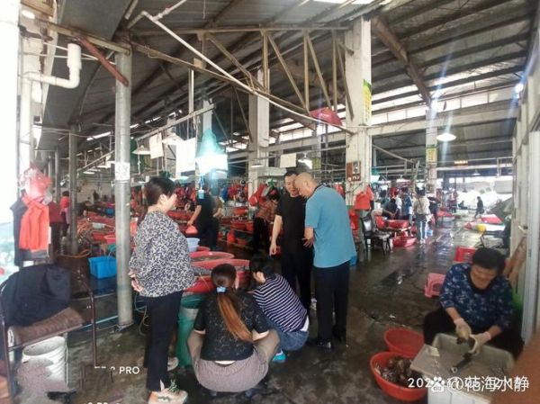 太湖大闸蟹批发市场在哪里_正宗货源怎么找-第3张图片-山城妙识