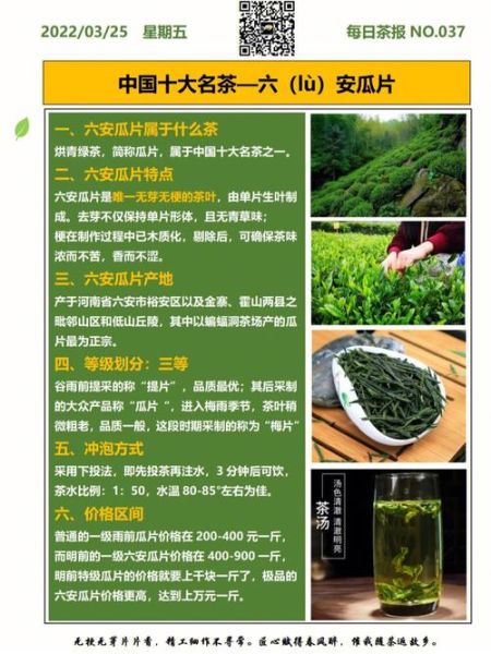 六安瓜片茶的功效与作用_六安瓜片适合什么人喝-第1张图片-山城妙识