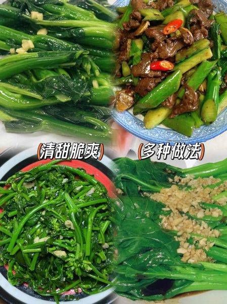 芥兰苗怎么种_芥兰苗的营养价值-第3张图片-山城妙识