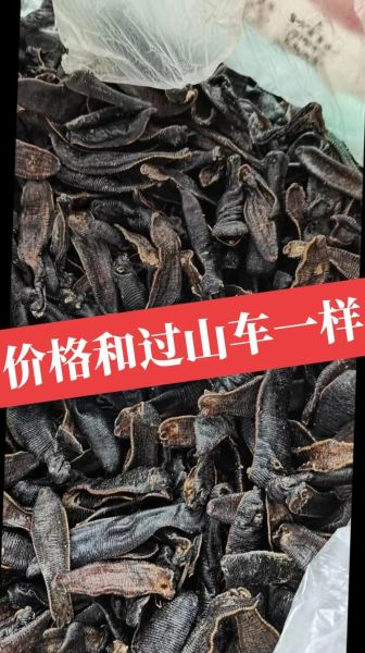 水蛭多少钱一斤_水蛭价格影响因素-第1张图片-山城妙识