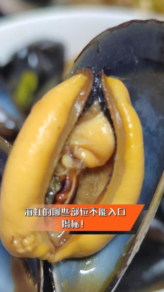 海虹哪个部位不能吃_海虹内脏能吃吗-第1张图片-山城妙识