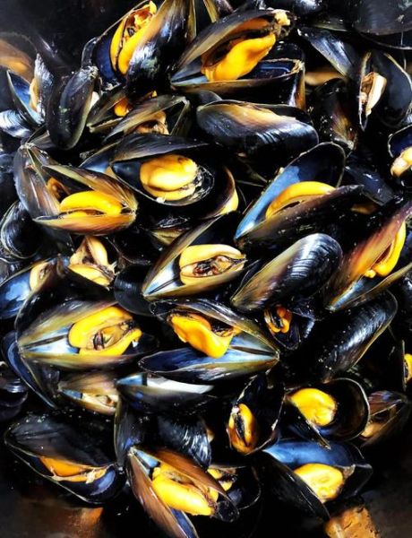 海虹哪个部位不能吃_海虹内脏能吃吗-第3张图片-山城妙识