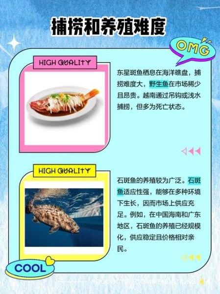 苏眉鱼和东星斑哪个贵_价格对比与选购指南-第2张图片-山城妙识
