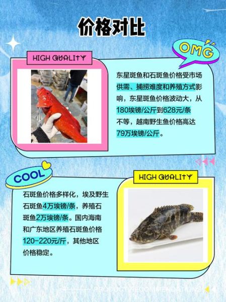 苏眉鱼和东星斑哪个贵_价格对比与选购指南-第1张图片-山城妙识