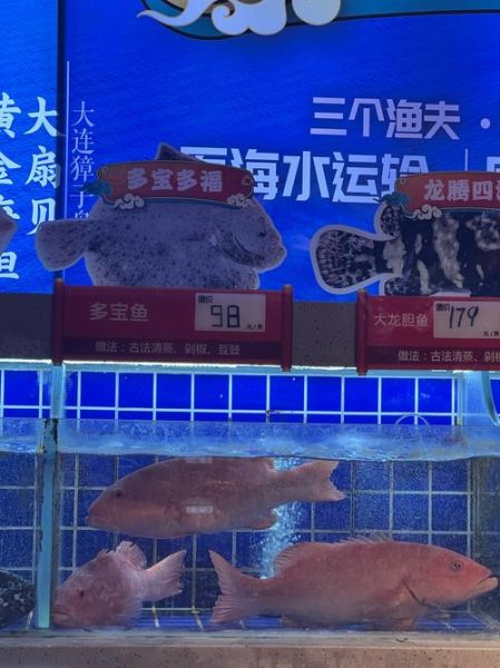 苏眉鱼和东星斑哪个贵_价格对比与选购指南-第3张图片-山城妙识