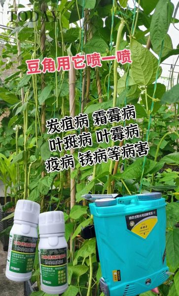豇豆锈病用什么药防治效果最好_豇豆锈病防治特效药推荐-第1张图片-山城妙识