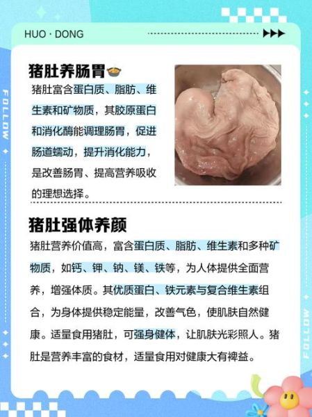 猪肚的营养价值_猪肚适合什么人吃-第1张图片-山城妙识