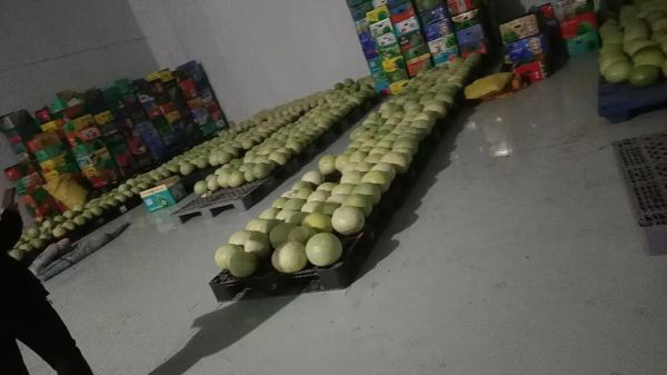 雪里红三白瓜的功效与作用_怎么吃最养生-第2张图片-山城妙识