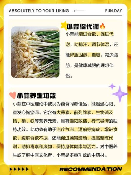 小蒜的功效与作用_小蒜怎么吃最好-第1张图片-山城妙识