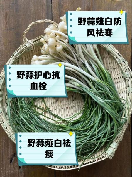 小蒜的功效与作用_小蒜怎么吃最好-第2张图片-山城妙识