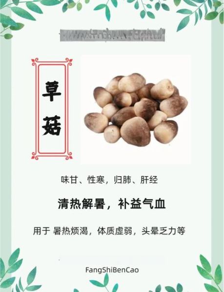 草菇种植利润怎么样_草菇种植成本与收益-第1张图片-山城妙识 草菇种植利润怎么样_草菇种植成本与收益-第1张图片-山城妙识