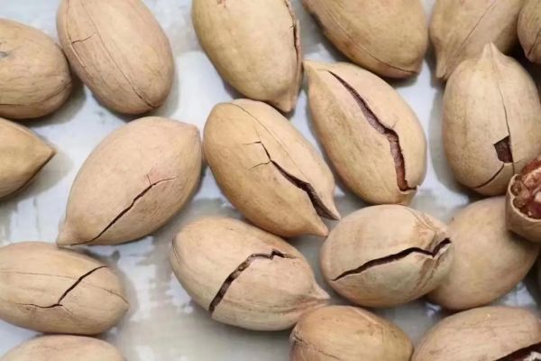 碧根果和夏威夷果的区别_哪个营养价值更高-第1张图片-山城妙识