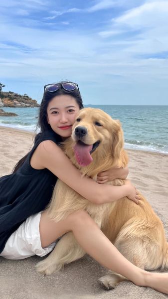 狗图片怎么拍好看_狗狗拍照姿势有哪些-第2张图片-山城妙识