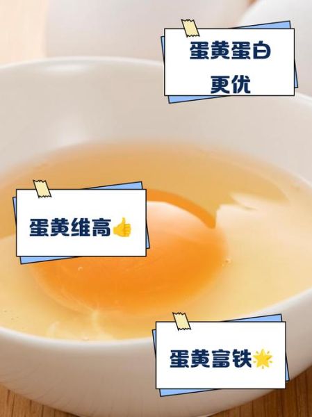 蛋清的营养价值_蛋清怎么吃最营养-第2张图片-山城妙识