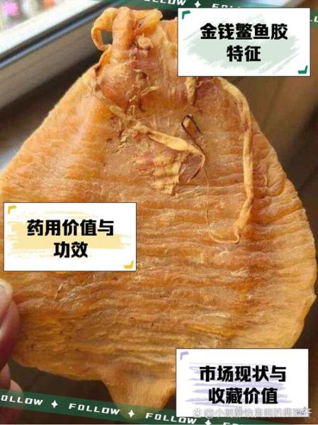 鮸鱼胶多少钱一斤_鮸鱼胶价格影响因素-第2张图片-山城妙识