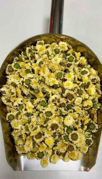 贡菊的功效与作用禁忌_贡菊泡水喝的注意事项-第3张图片-山城妙识