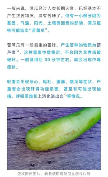 瓠瓜的营养价值_瓠瓜的功效与作用-第2张图片-山城妙识