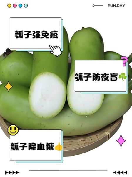 瓠瓜的营养价值_瓠瓜的功效与作用-第3张图片-山城妙识