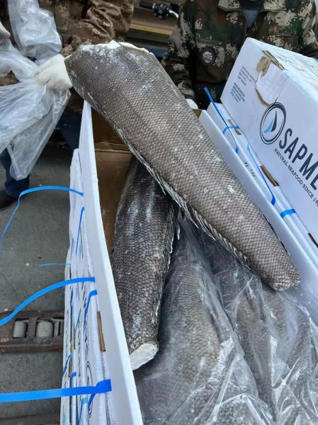 银鳕鱼图片大全_银鳕鱼真假怎么分辨-第2张图片-山城妙识