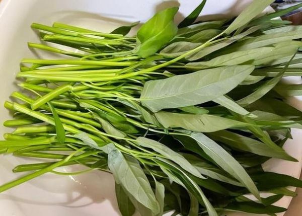 空心菜为什么被称为毒中之王_空心菜毒性真相-第3张图片-山城妙识