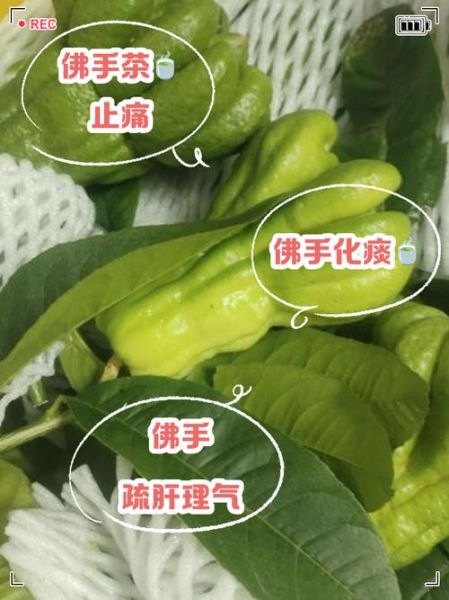 佛手泡水喝的功效与禁忌_佛手泡水怎么喝才有效-第2张图片-山城妙识