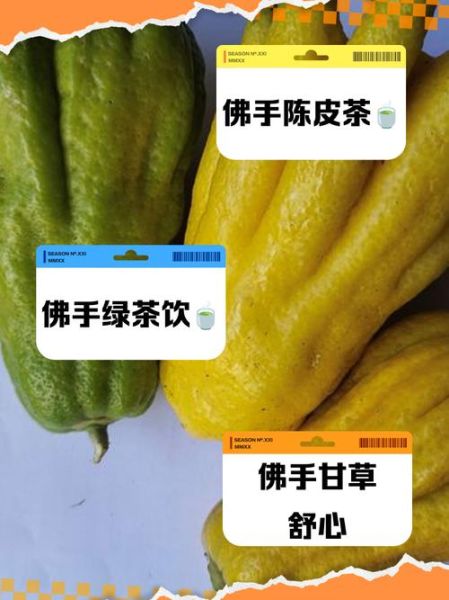 佛手泡水喝的功效与禁忌_佛手泡水怎么喝才有效-第3张图片-山城妙识