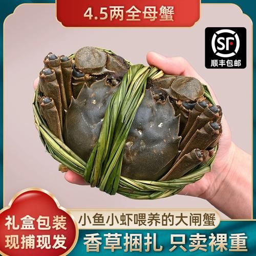 螃蟹怎么清洗才干净_活螃蟹清洗步骤-第3张图片-山城妙识 螃蟹怎么清洗才干净_活螃蟹清洗步骤-第3张图片-山城妙识