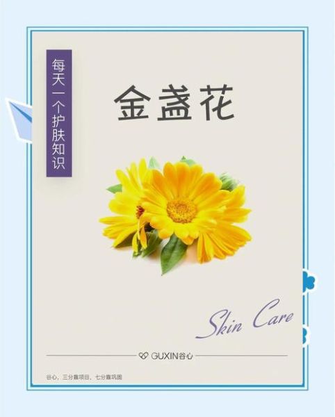 金盏花对皮肤的功效与作用_金盏花怎么使用最有效-第2张图片-山城妙识 金盏花对皮肤的功效与作用_金盏花怎么使用最有效-第2张图片-山城妙识