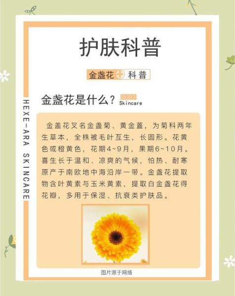 金盏花对皮肤的功效与作用_金盏花怎么使用最有效-第1张图片-山城妙识 金盏花对皮肤的功效与作用_金盏花怎么使用最有效-第1张图片-山城妙识