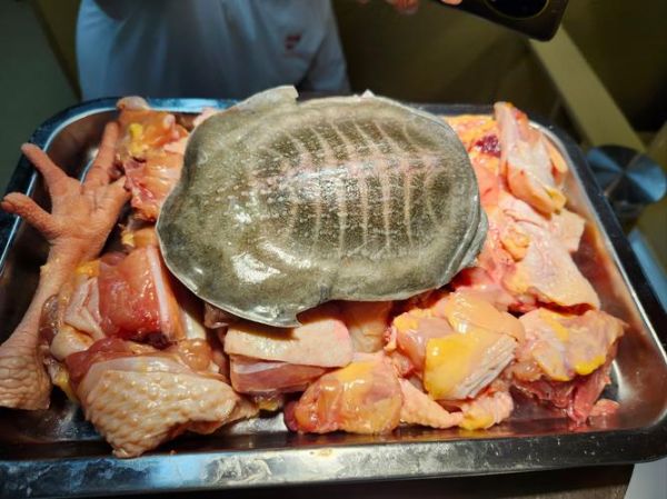 甲鱼怎么杀_甲鱼汤的做法大全-第2张图片-山城妙识