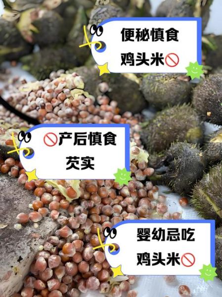 鸡头米的功效与禁忌_适合哪些人吃-第2张图片-山城妙识