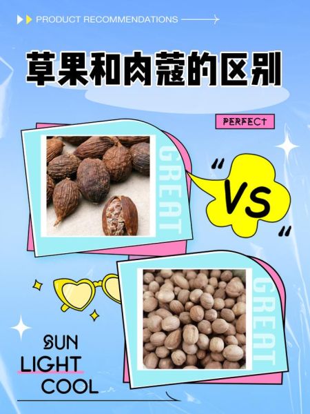 草寇在卤水中起什么作用_草寇与肉蔻区别-第1张图片-山城妙识