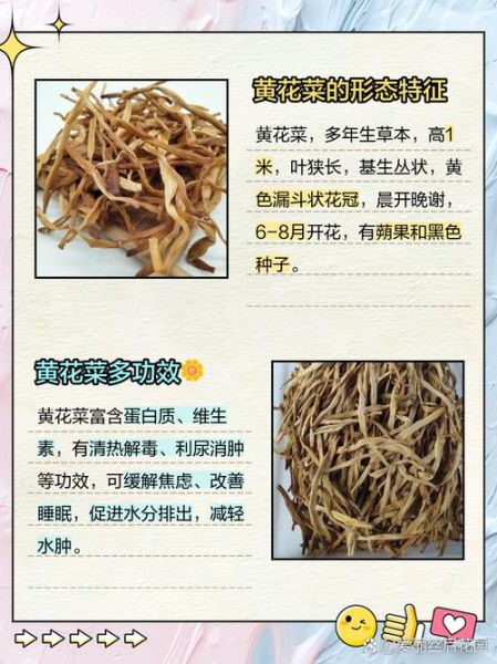 黄花菜怎么种_黄花菜种植技术详解-第2张图片-山城妙识 黄花菜怎么种_黄花菜种植技术详解-第2张图片-山城妙识