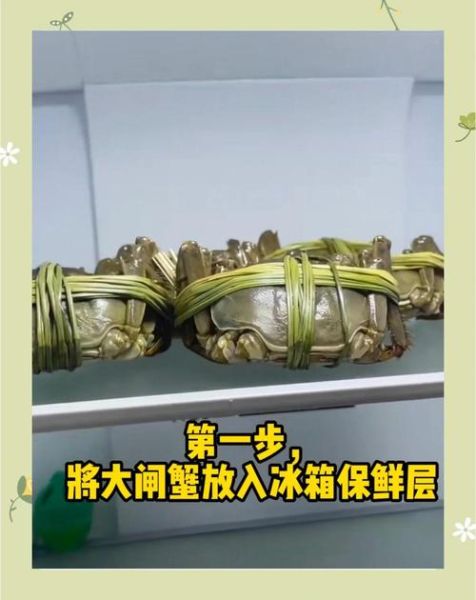 买回来的活螃蟹怎么存放_活螃蟹能放冰箱吗-第2张图片-山城妙识 买回来的活螃蟹怎么存放_活螃蟹能放冰箱吗-第2张图片-山城妙识