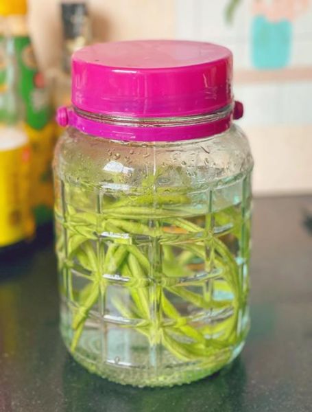 自制酸豆角怎么腌制_酸豆角腌制多久能吃-第2张图片-山城妙识