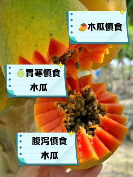 木瓜的禁忌人群有哪些_木瓜不适合哪些人吃-第2张图片-山城妙识