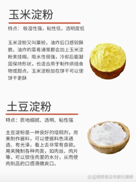 淀粉是什么_淀粉有哪些种类-第2张图片-山城妙识
