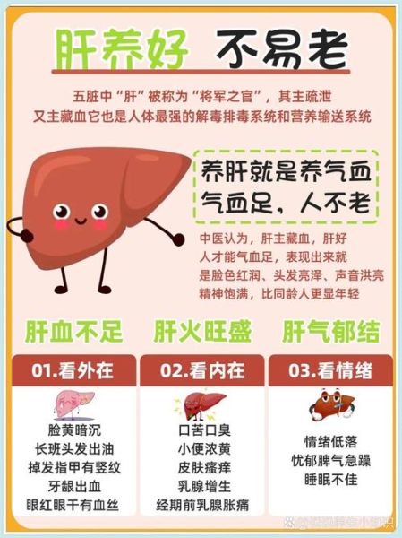 肝不好吃什么调理_肝不好有哪些症状-第1张图片-山城妙识