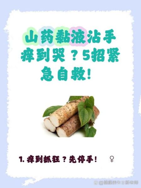 切山药手痒怎么办_快速止痒小妙招-第1张图片-山城妙识