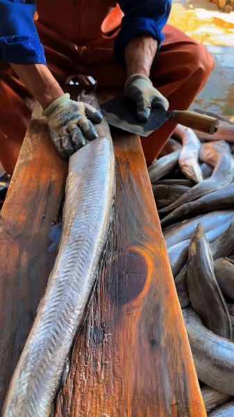 鳗鱼怎么杀_鳗鱼宰杀后如何处理-第3张图片-山城妙识