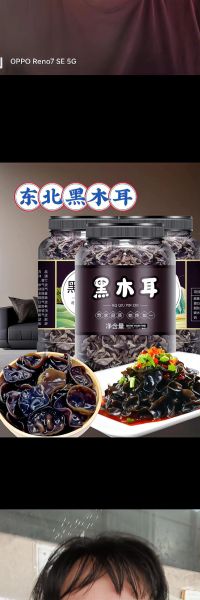 肉厚的木耳叫什么_厚肉木耳品种区别-第2张图片-山城妙识