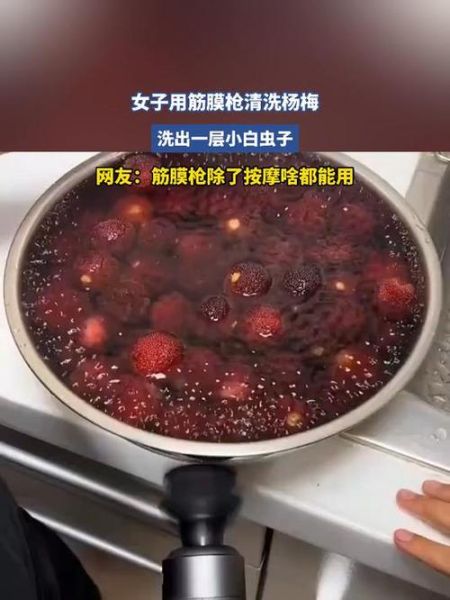杨梅虫子能吃吗_怎么清洗杨梅才干净-第2张图片-山城妙识 杨梅虫子能吃吗_怎么清洗杨梅才干净-第2张图片-山城妙识