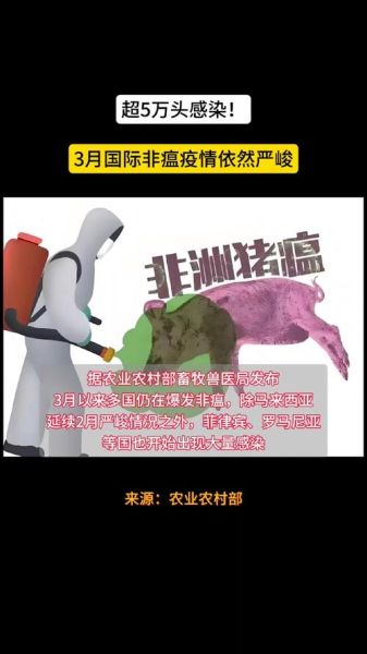 非洲猪瘟最新疫情_如何防控最有效-第3张图片-山城妙识