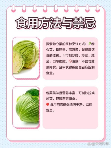 大头菜是什么_大头菜和卷心菜区别-第3张图片-山城妙识