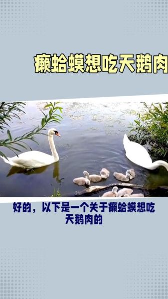 癞蛤蟆歇后语有哪些_癞蛤蟆想吃天鹅肉是什么意思-第3张图片-山城妙识