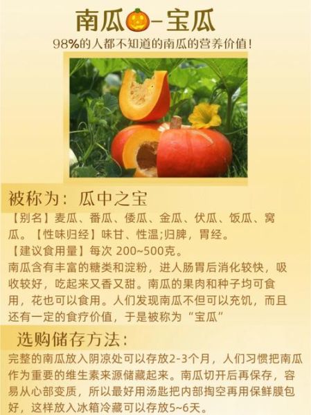 南瓜的营养价值及功效与禁忌_什么人不能吃南瓜-第3张图片-山城妙识