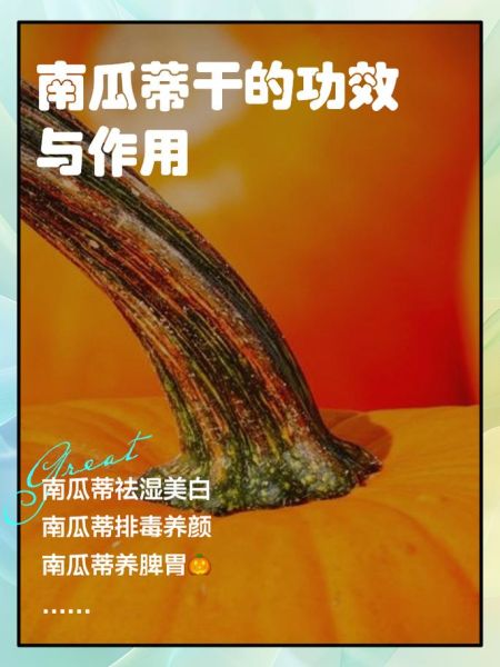 南瓜的营养价值及功效与禁忌_什么人不能吃南瓜-第2张图片-山城妙识