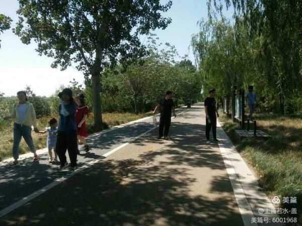 青苹果乐园在哪里_青苹果乐园门票价格-第3张图片-山城妙识