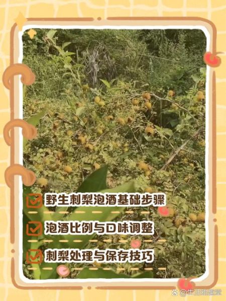 野刺梨泡水喝的功效_野刺梨泡水怎么喝才有效-第3张图片-山城妙识