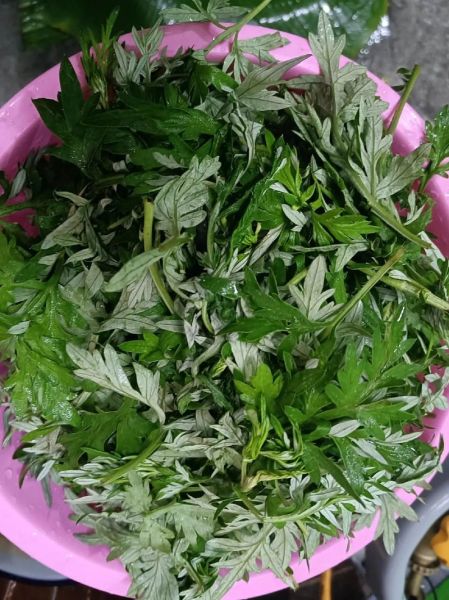 艾草青团的功效与作用_艾草青团吃了会上火吗-第1张图片-山城妙识